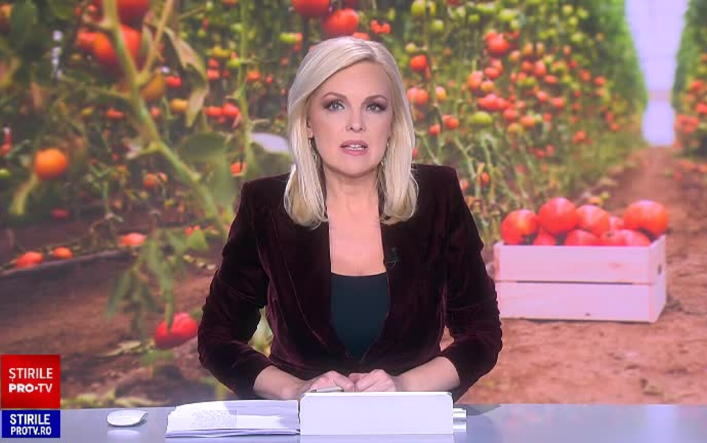 Video - Fermierii care cultivă legume în sere ar putea primi mai mulţi bani. Noi condiții pentru ...