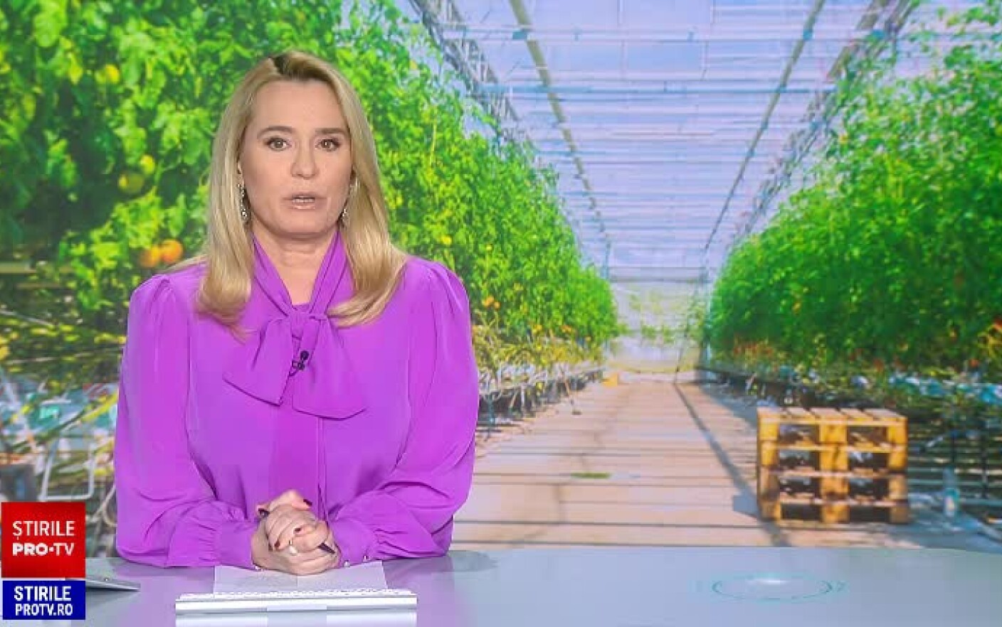 Video - Primele roșii românești au ajuns pe tarabe cu o lună mai ...