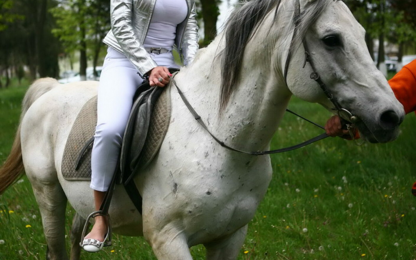 Elena Udrea: "Dati-va la o parte, ca acum sunt chiar pe cai mari ...