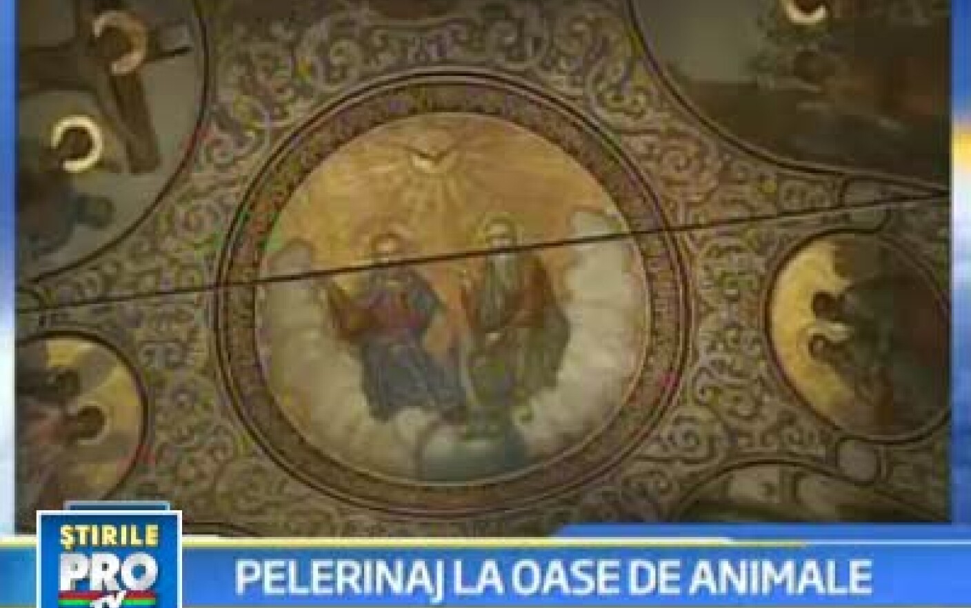 Video - S-au inchinat ani de zile la racla cu "moaste"! De fapt, oase ...