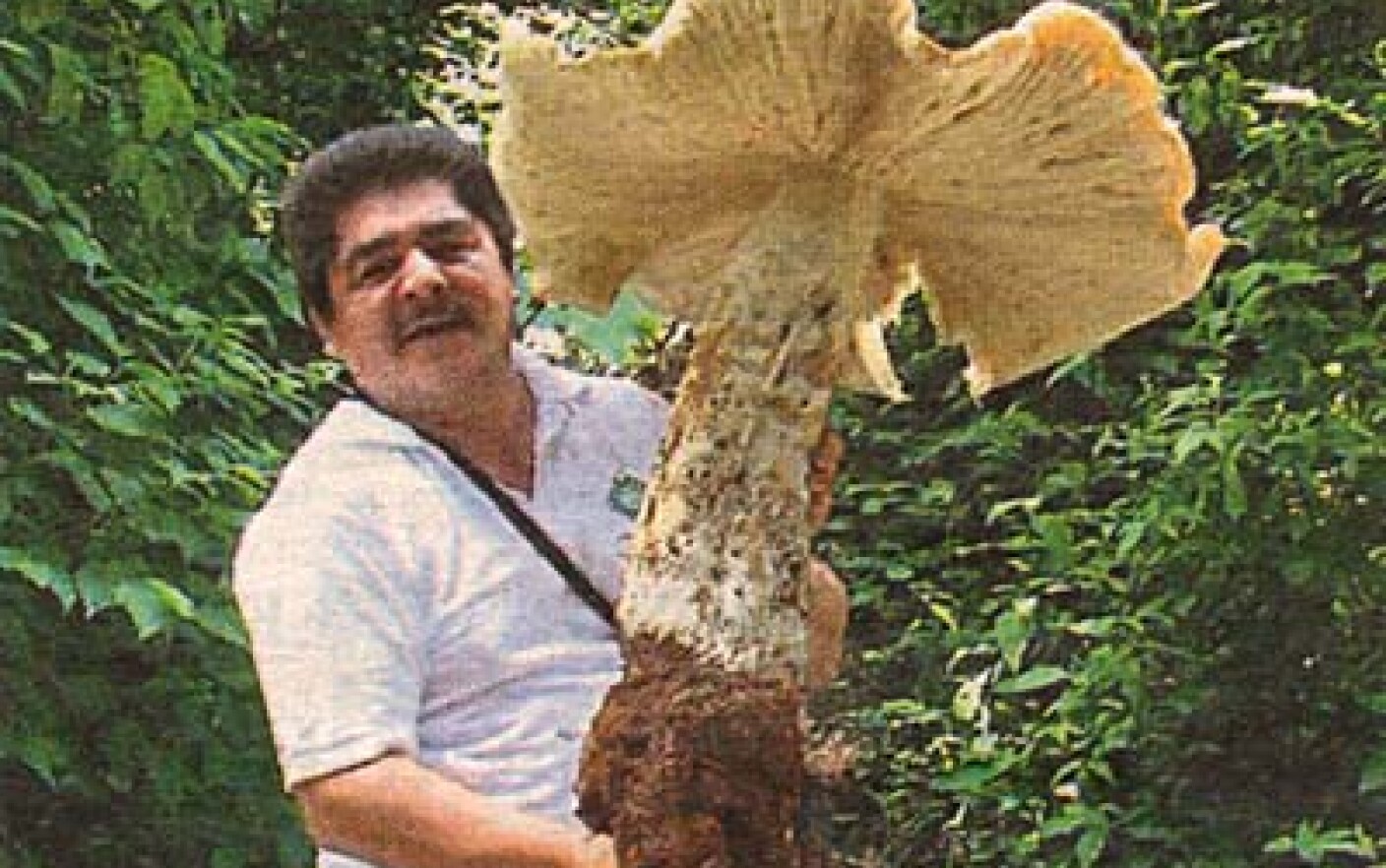 Cea mai mare ciuperca din Romania cantareste 4 kilograme! - Stirileprotv.ro