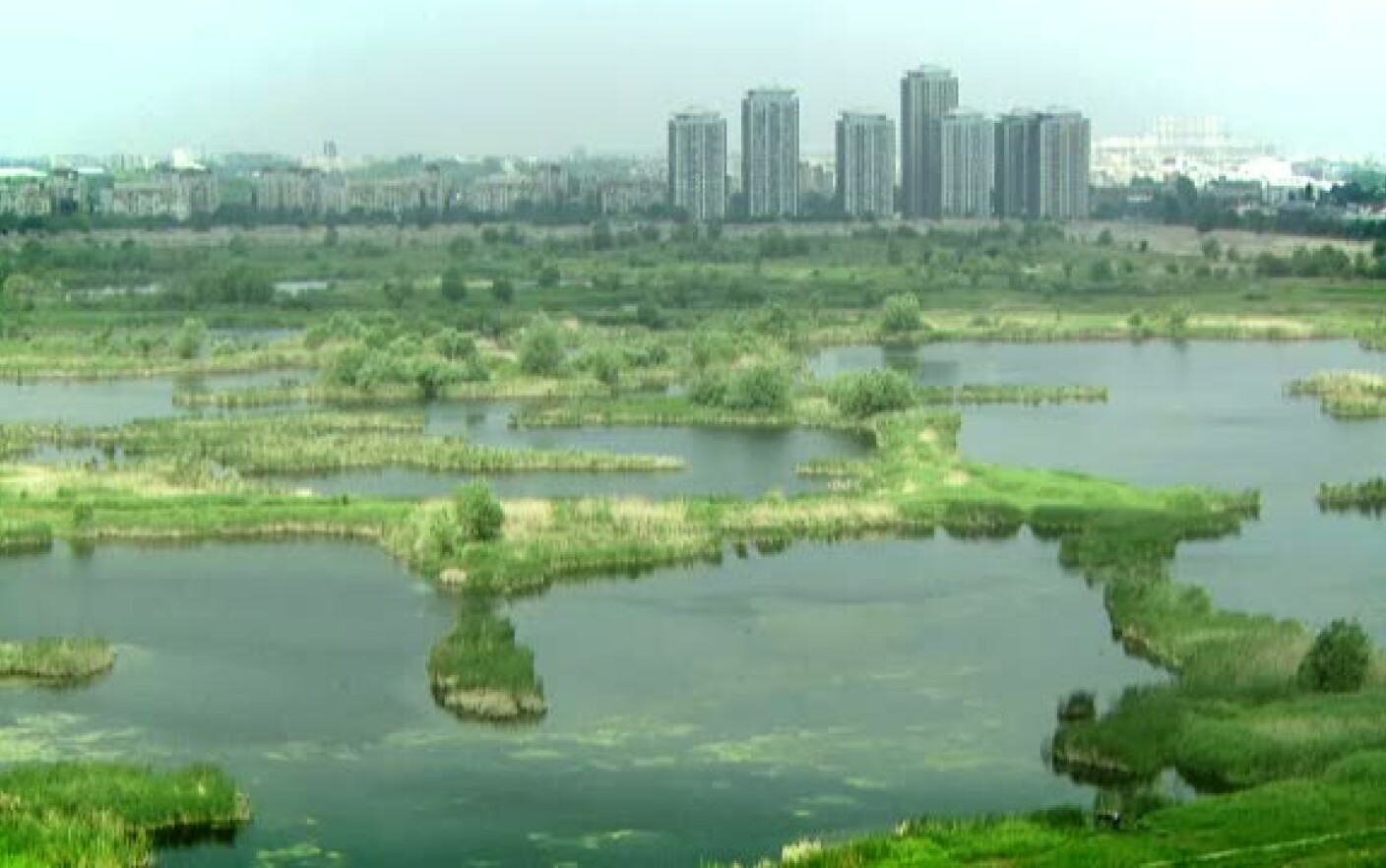 Delta Vacaresti, coltul de rai din mijlocul Capitalei, va deveni parc ...