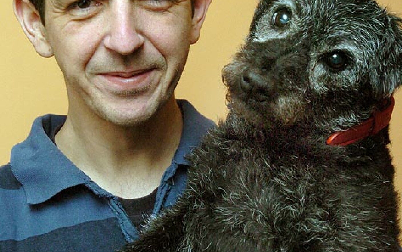 Un catel a fost declarat eroul anului dupa ce i-a salvat de doua ori ...