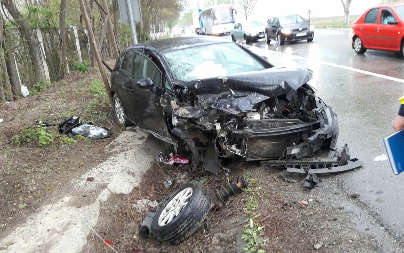 Judecatoarea mituita de Borcea si fratii Becali a suferit un accident ...