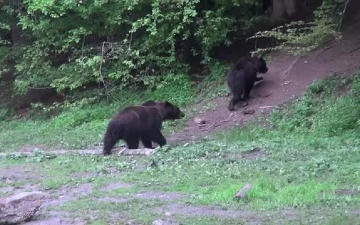 Turismul ecologic din Romania are tot mai mult succes. Cati bani se ...