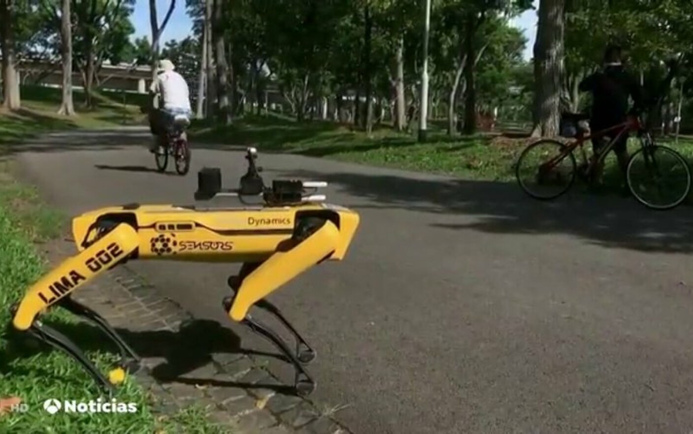 VIDEO Distanțarea socială, menținută cu ajutorul câinilor robotizați ...