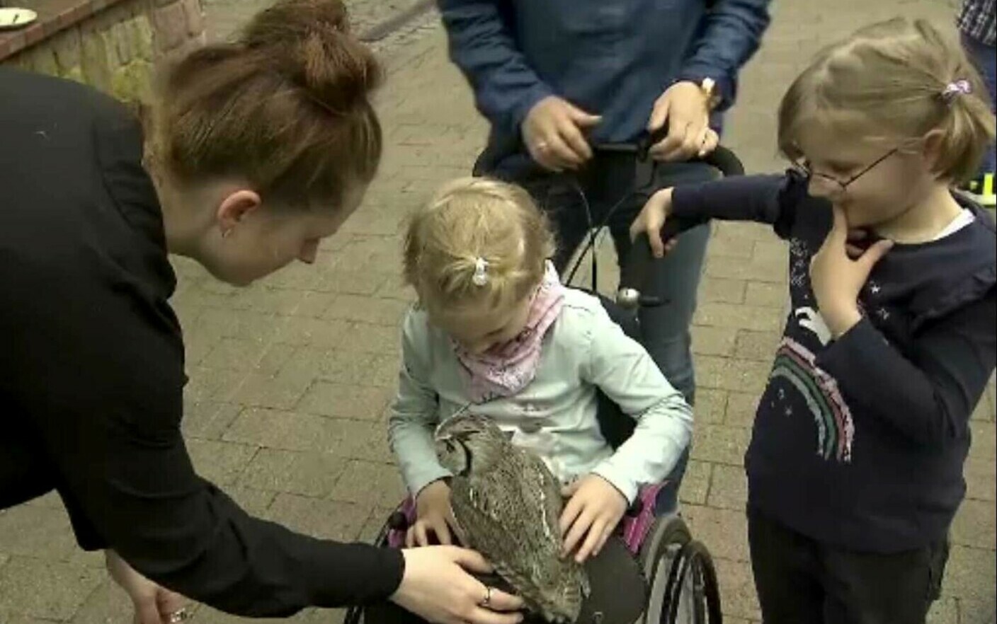 Bufnițele terapeute, alinare pentru copii bolnavi în fază terminală ...