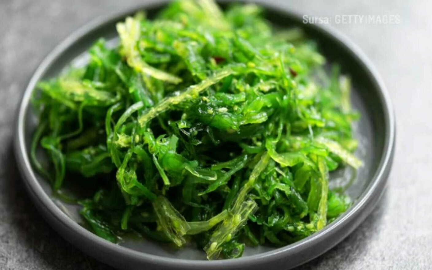 Algele din Marea Neagră ar putea ajunge în farfurie. Solicitarea ...