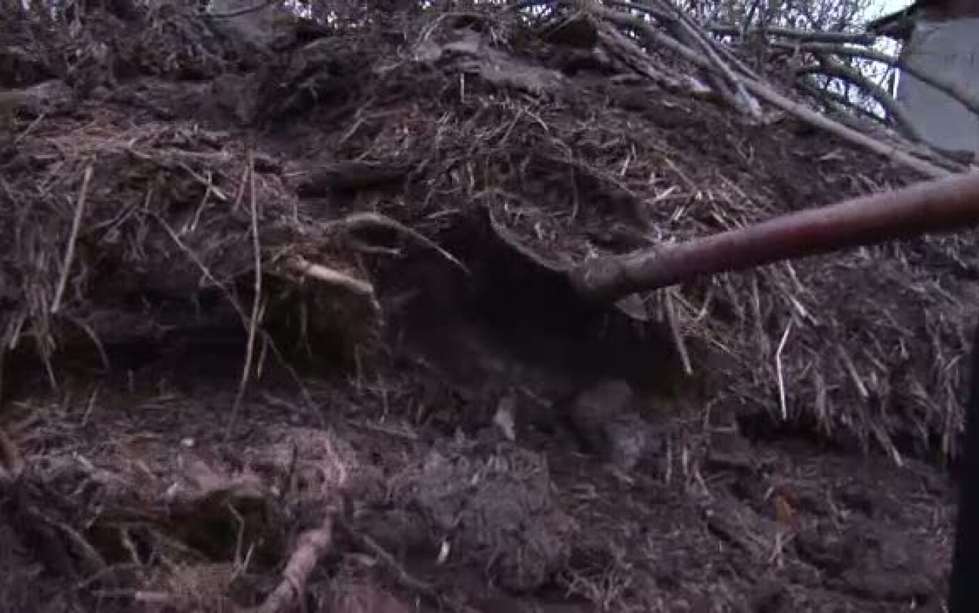 Importam pana si balegar. Romania nu produce combustibil ecologic ...