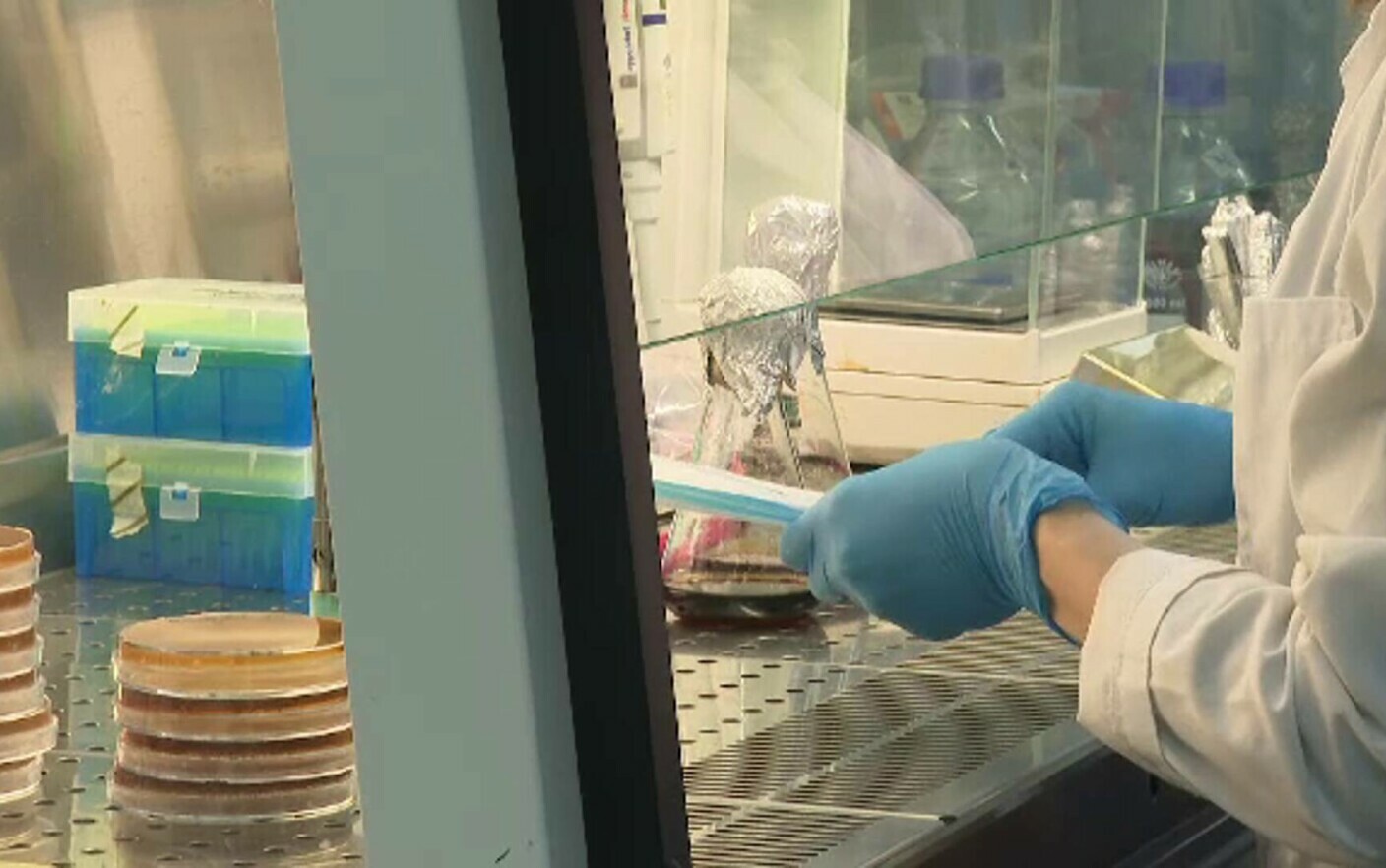 O echipă de cercetători din Galați au inventat noi tipuri de hrană și ...