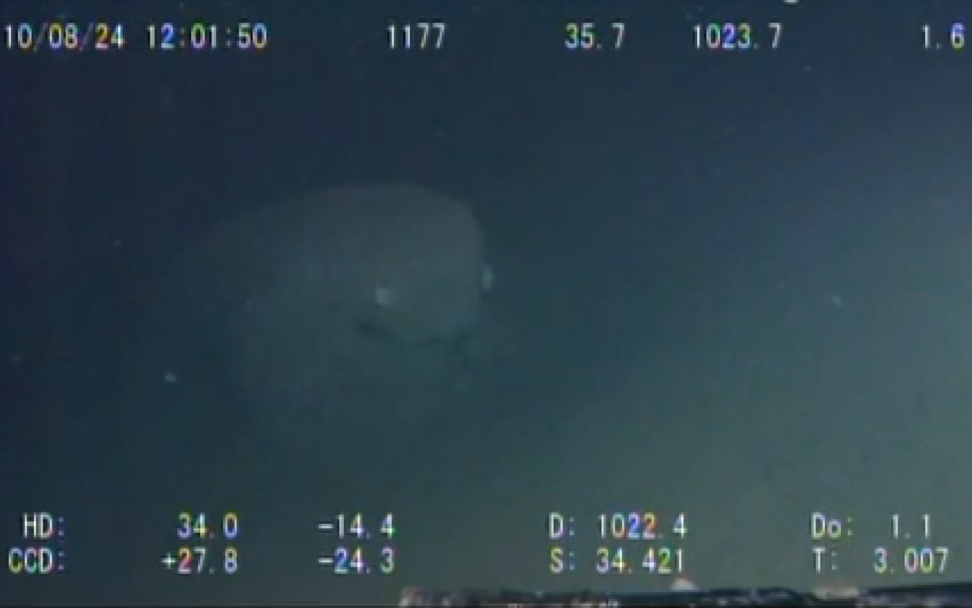 Monstru marin, surprins de camere subacvatice in Oceanul Pacific? VIDEO ...