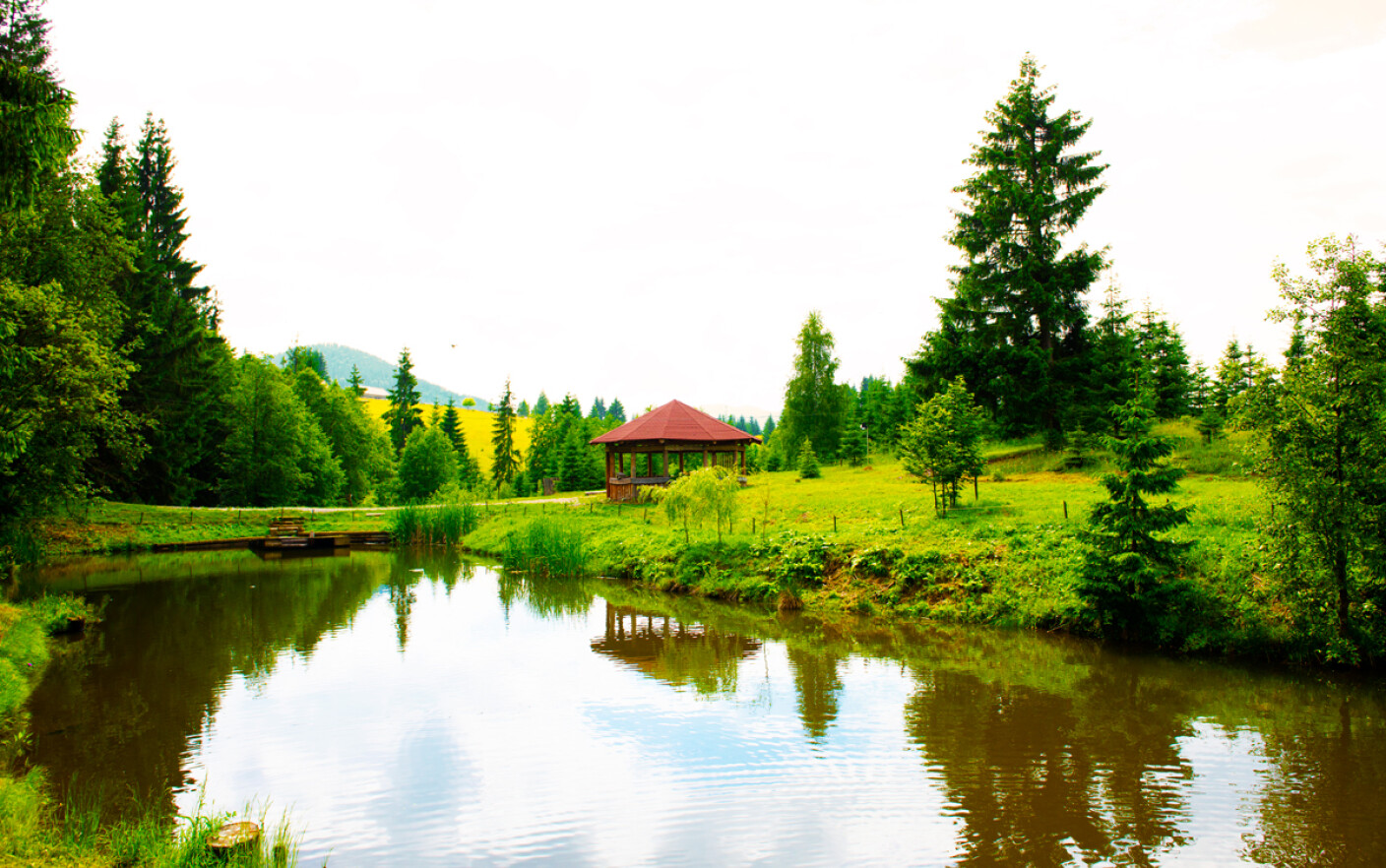 (P) Compania care a adoptat un rau din Romania. Ce s-a intamplat dupa 7 ...