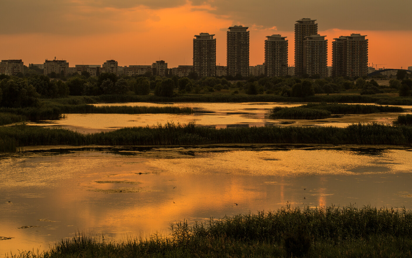 A "ajutat" Romania sa devina prima tara din Europa cu un parc natural ...