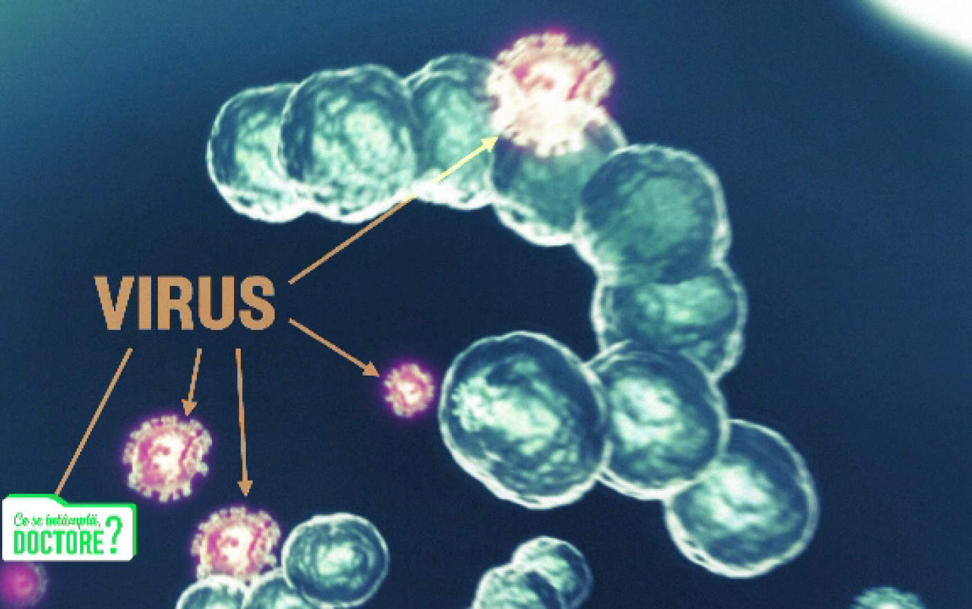 Motivul pentru care faringitele pot ajunge la un minim istoric în acest ...