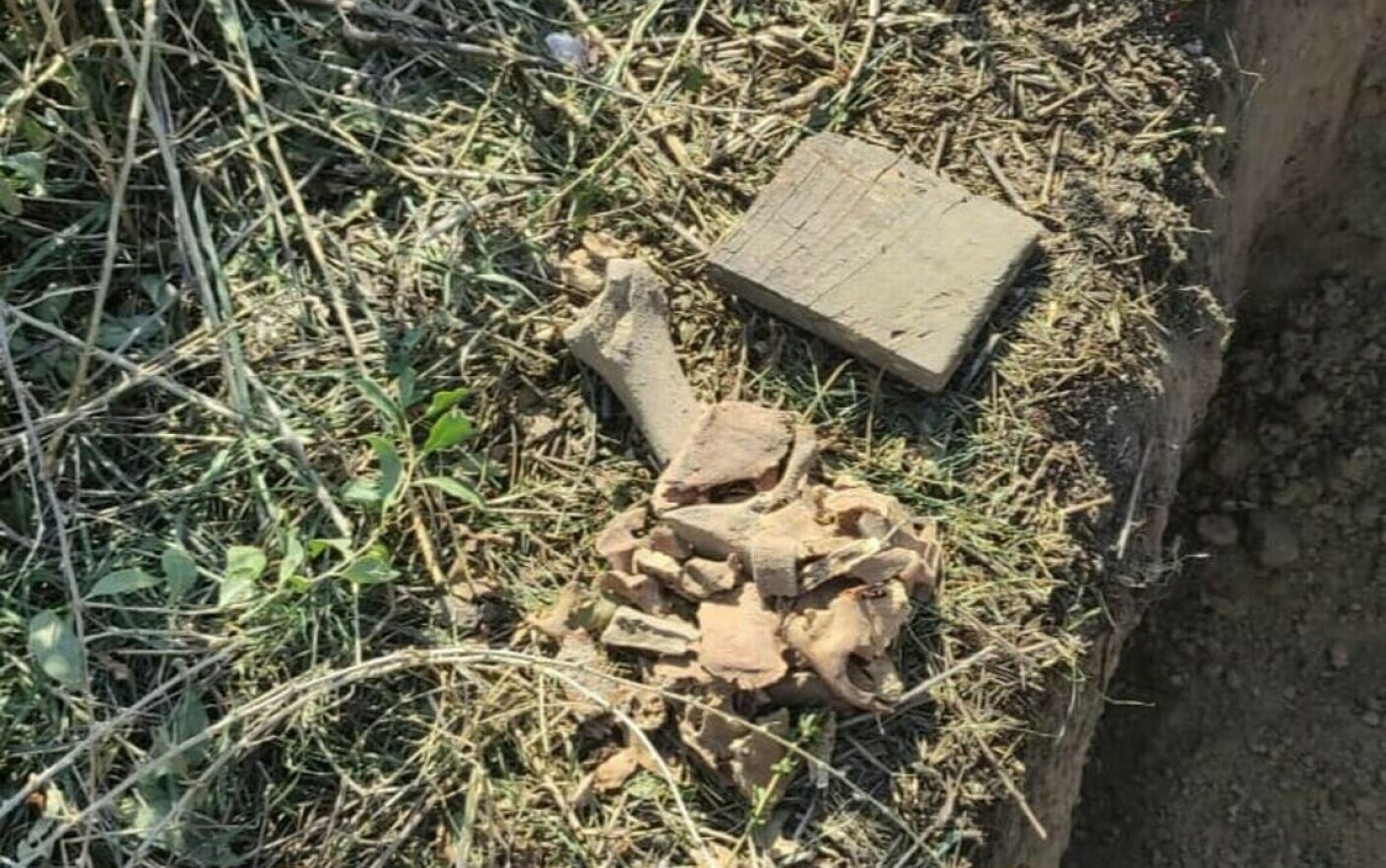 Oase umane descoperite pe Faleza din Galați de către muncitorii de la ...