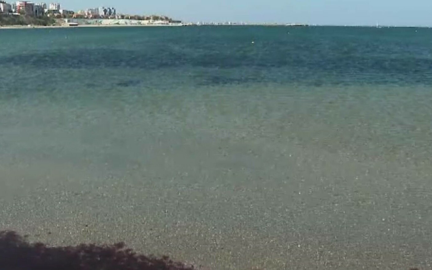 Fenomen spectaculos în Marea Neagră. O creatură marină a invadat ...