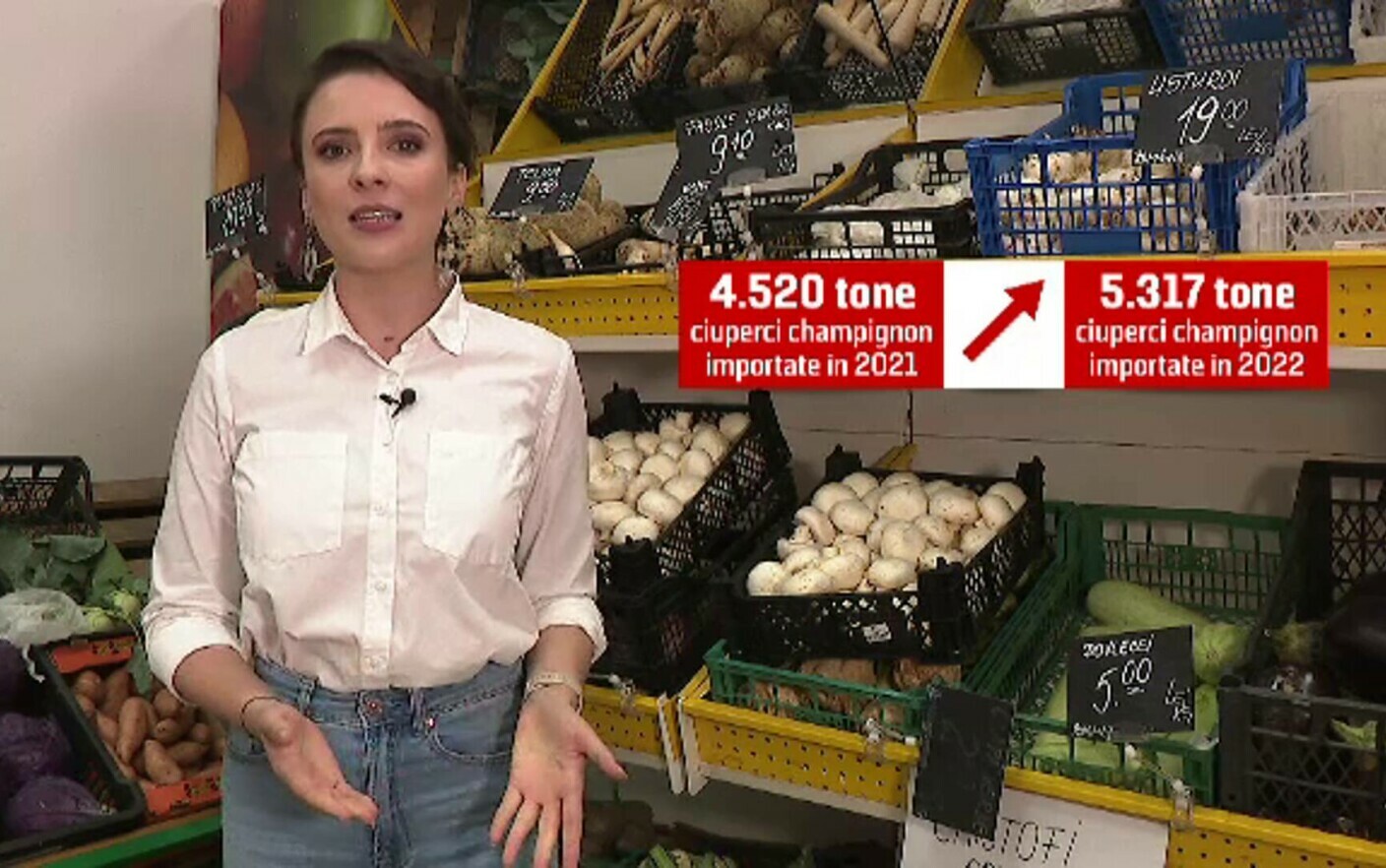 Cât costă un kilogram de hribi. Ciupercile culese din ciupercăriile ...