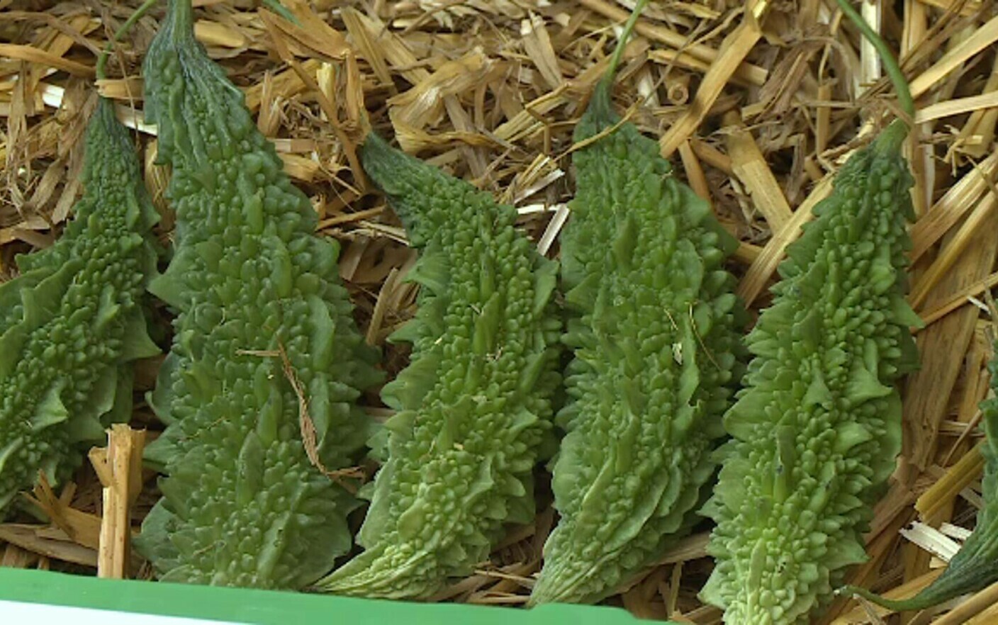 Multe fructe și legume exotice pot fi aclimatizate cu succes la noi. Ce ...