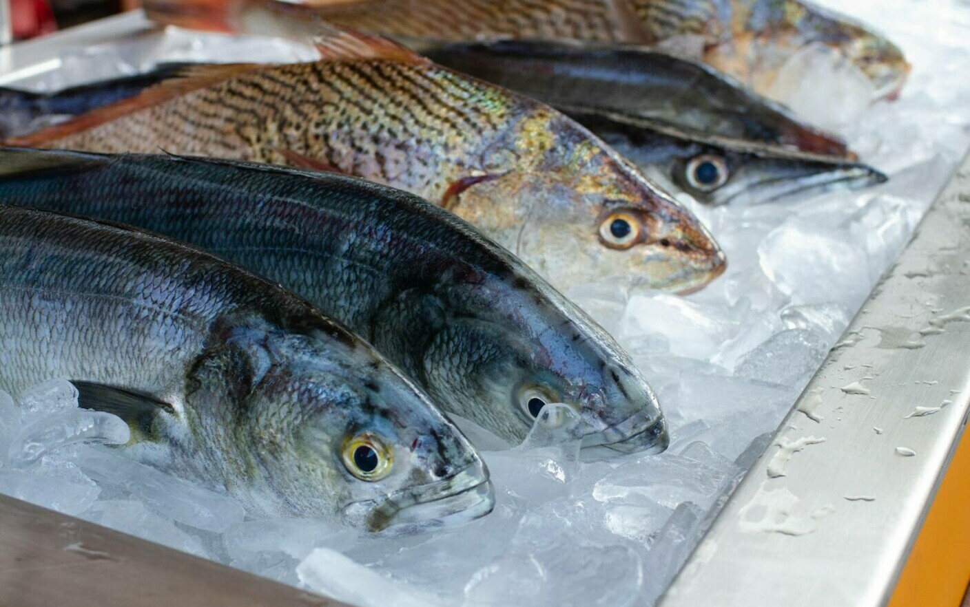 (P) Rețete cu pește proaspăt care te vor face să te lingi pe degete ...