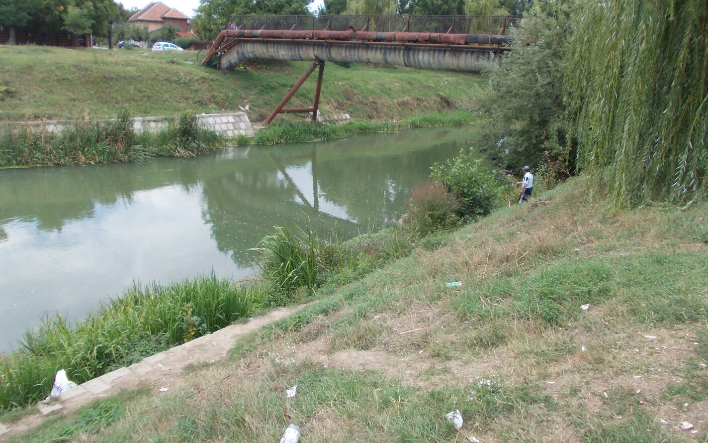 An nou, idei noi. Cinci poduri noi ar putea fi construite peste raul ...