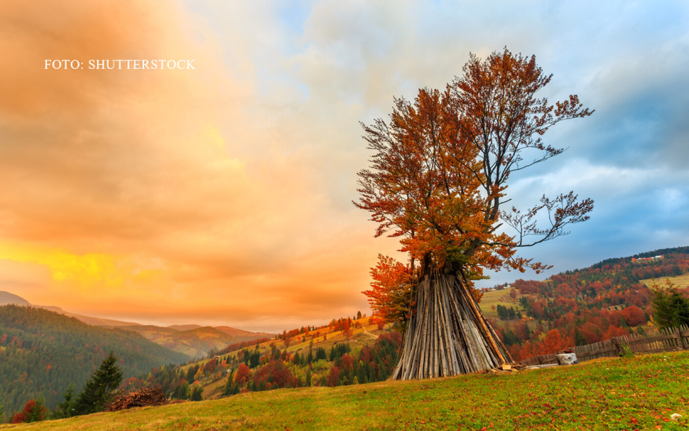 Vreme frumoasa de toamna, in aproape toata tara. Cand vor ajunge ...