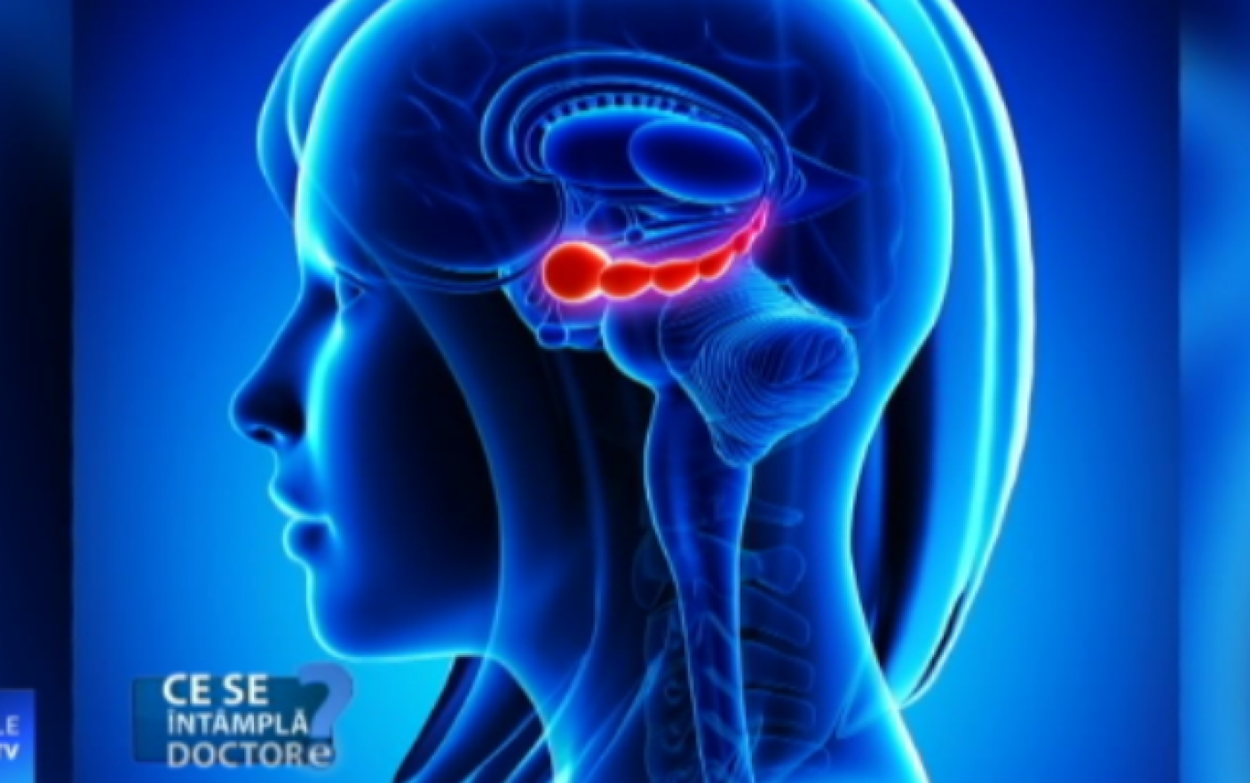 Ce înseamnă pentru creier materiile multe, grele și puțin importante de ...