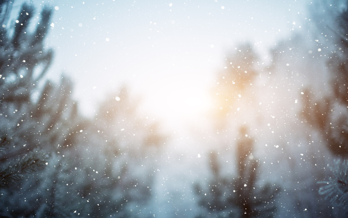 Regiunea din România unde a nins pentru prima dată în acest sezon ...