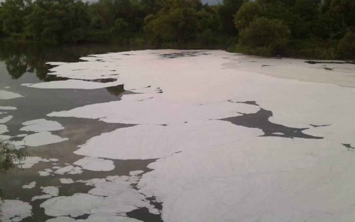 Poluare masivă pe râul Olt: “No, stai să vezi ce vine. Na, faună! Na ...