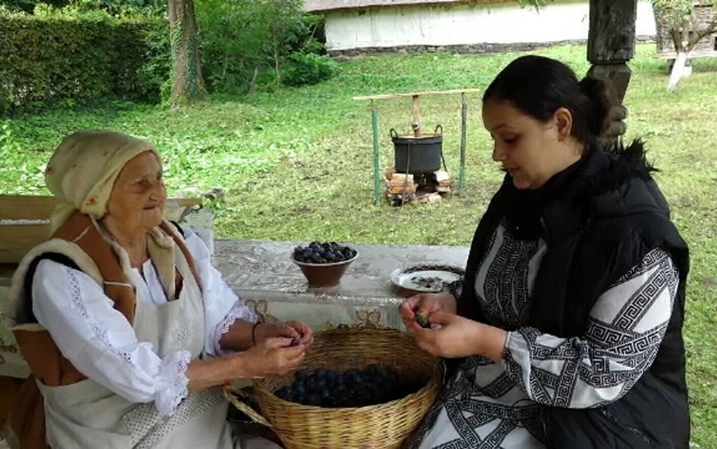 Zona din România care produce prune ideale pentru magiun. Care este ...