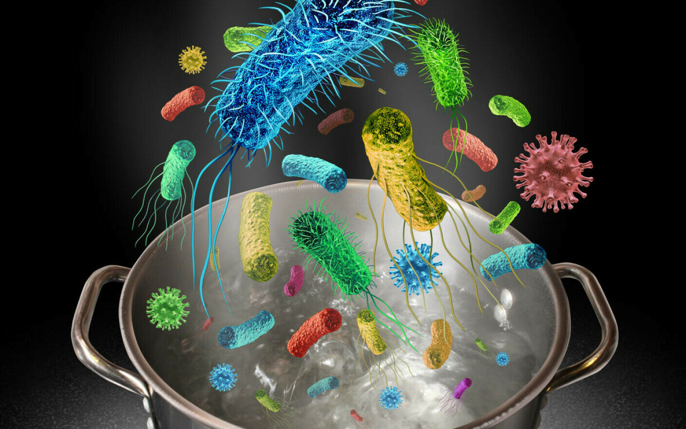 Temperaturile la care mor bacteriile din pește și din alte alimente ...