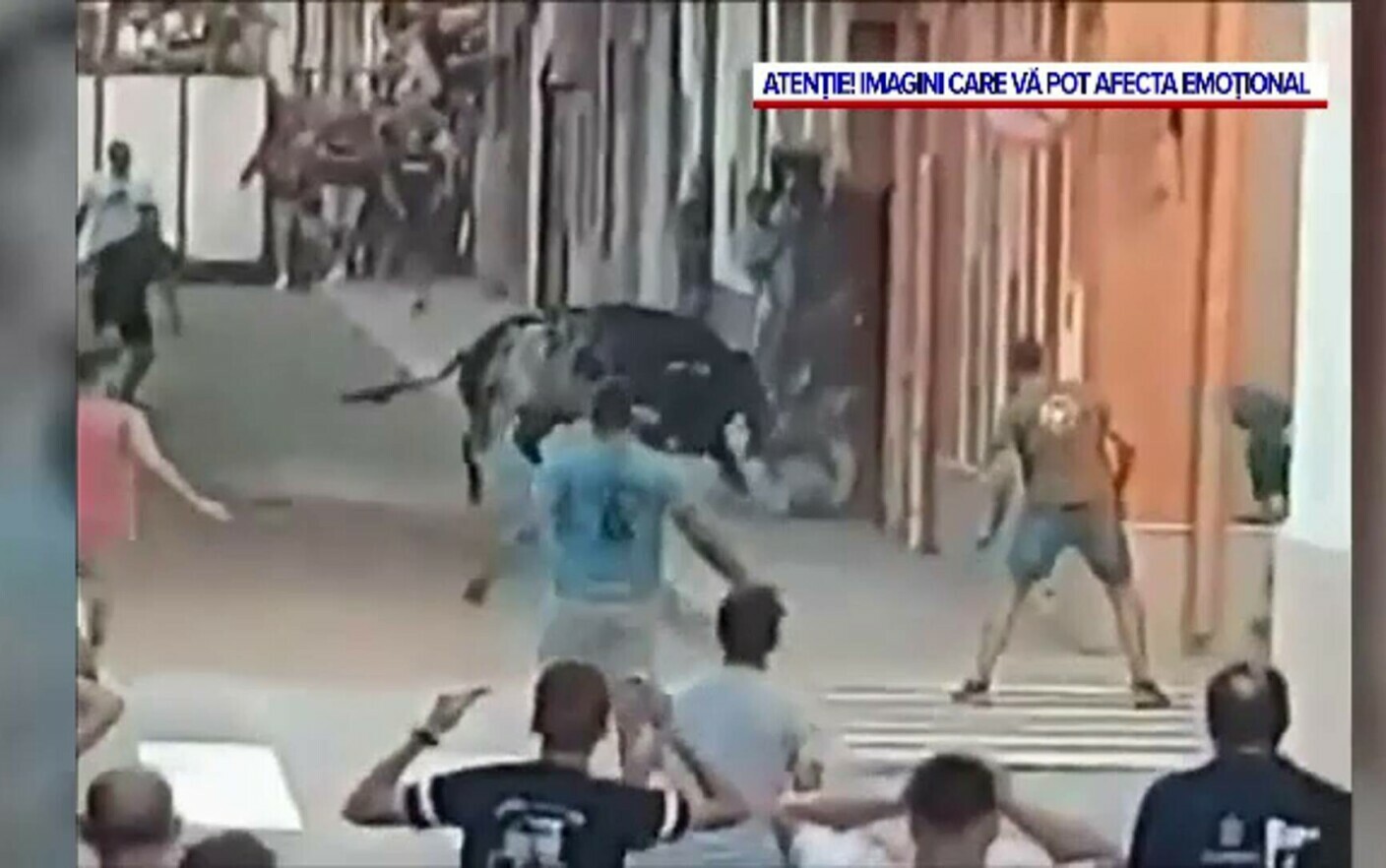 Un taur lăsat liber a încolțit mai mulți bărbați și i-a atacat cu ...
