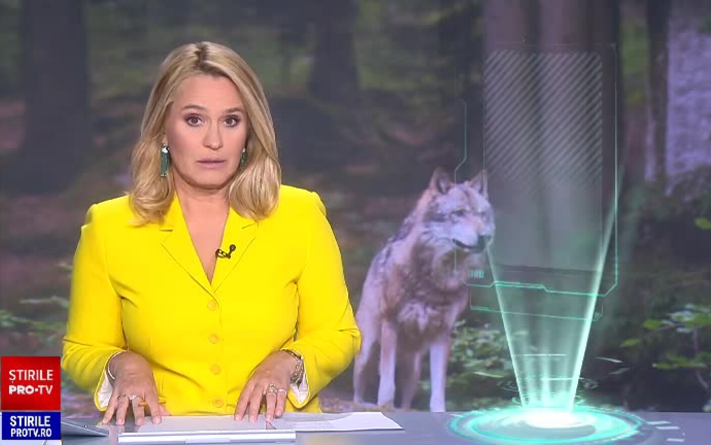 Video - Comisia Europeană vrea să dea liber la vânat lupi în România ...