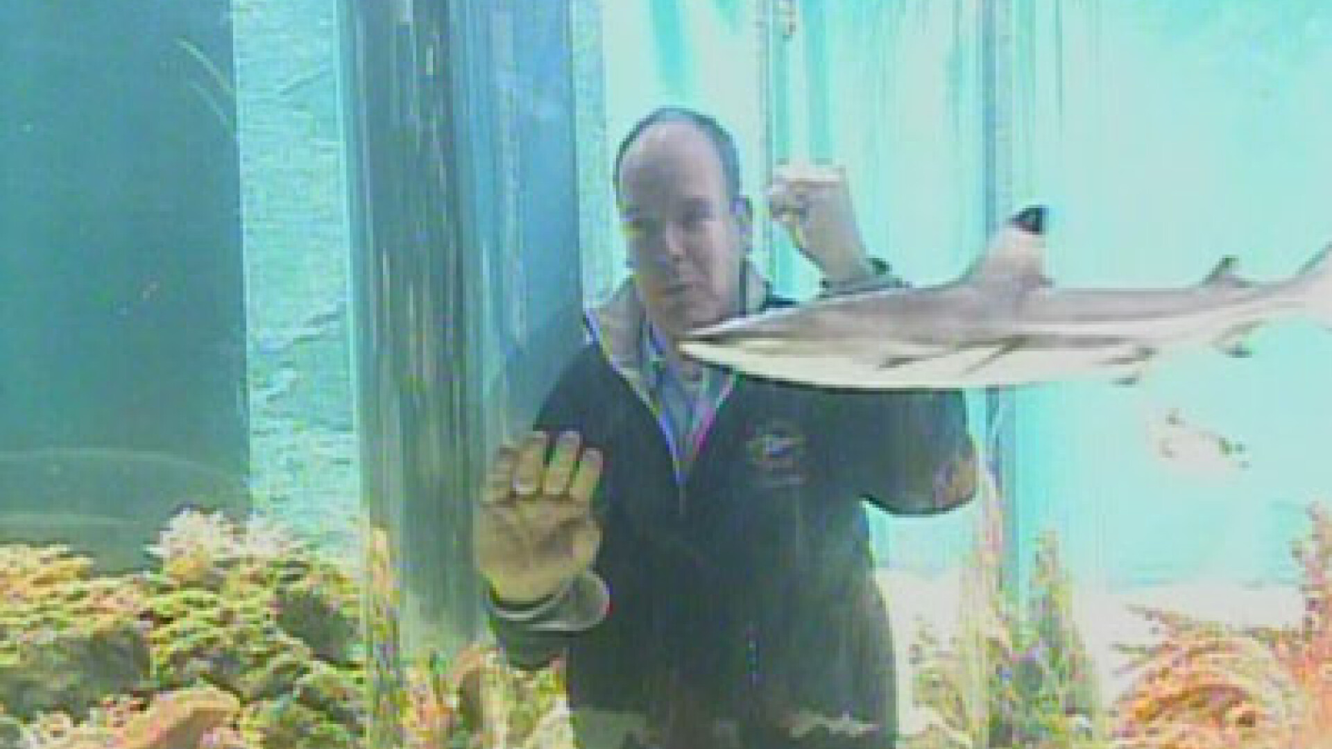 Printul Albert de Monaco, in genunchi in acvariul din Tulcea! - Știrile ...