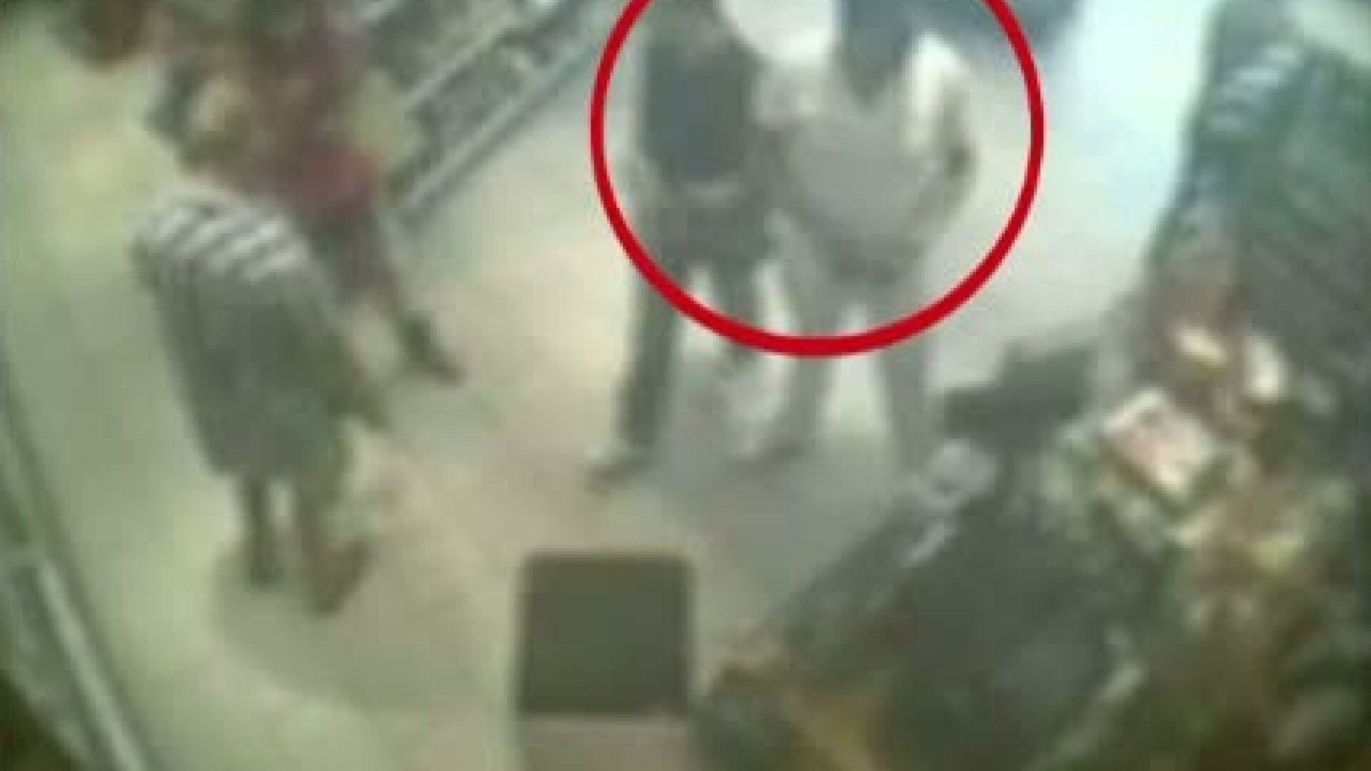 VIDEO. Interlopul Fane Caran, filmat in timp ce loveste cu bestialitate ...