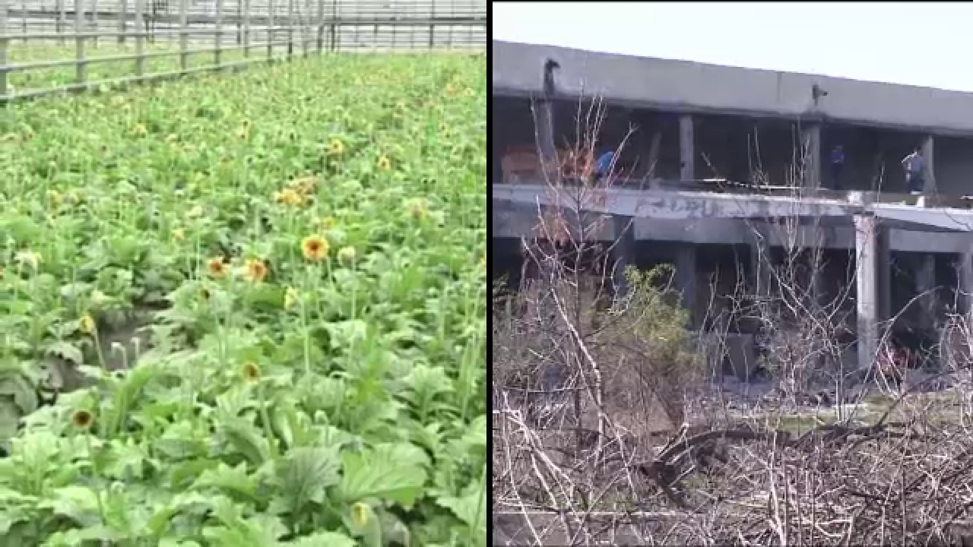 Serele Codlea, raiul hotilor de fier vechi. Cum arata locul de unde ...