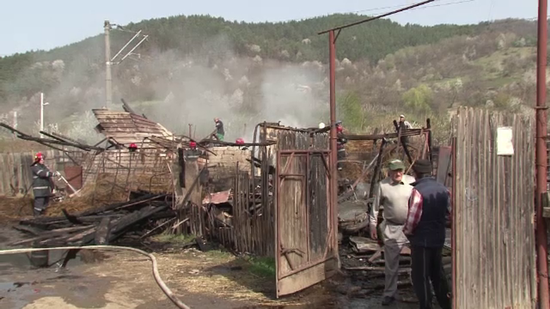 Zeci de animale si pasari au murit intr-un incendiu, in Bacau ...