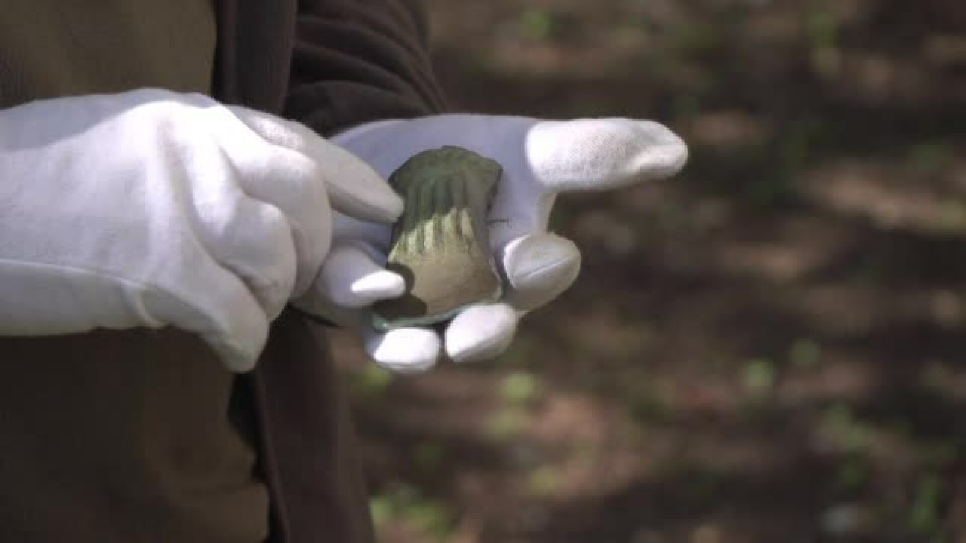 Topor vechi de 3.500 de ani, la Băicoi. Primarul speră că e din vremea ...