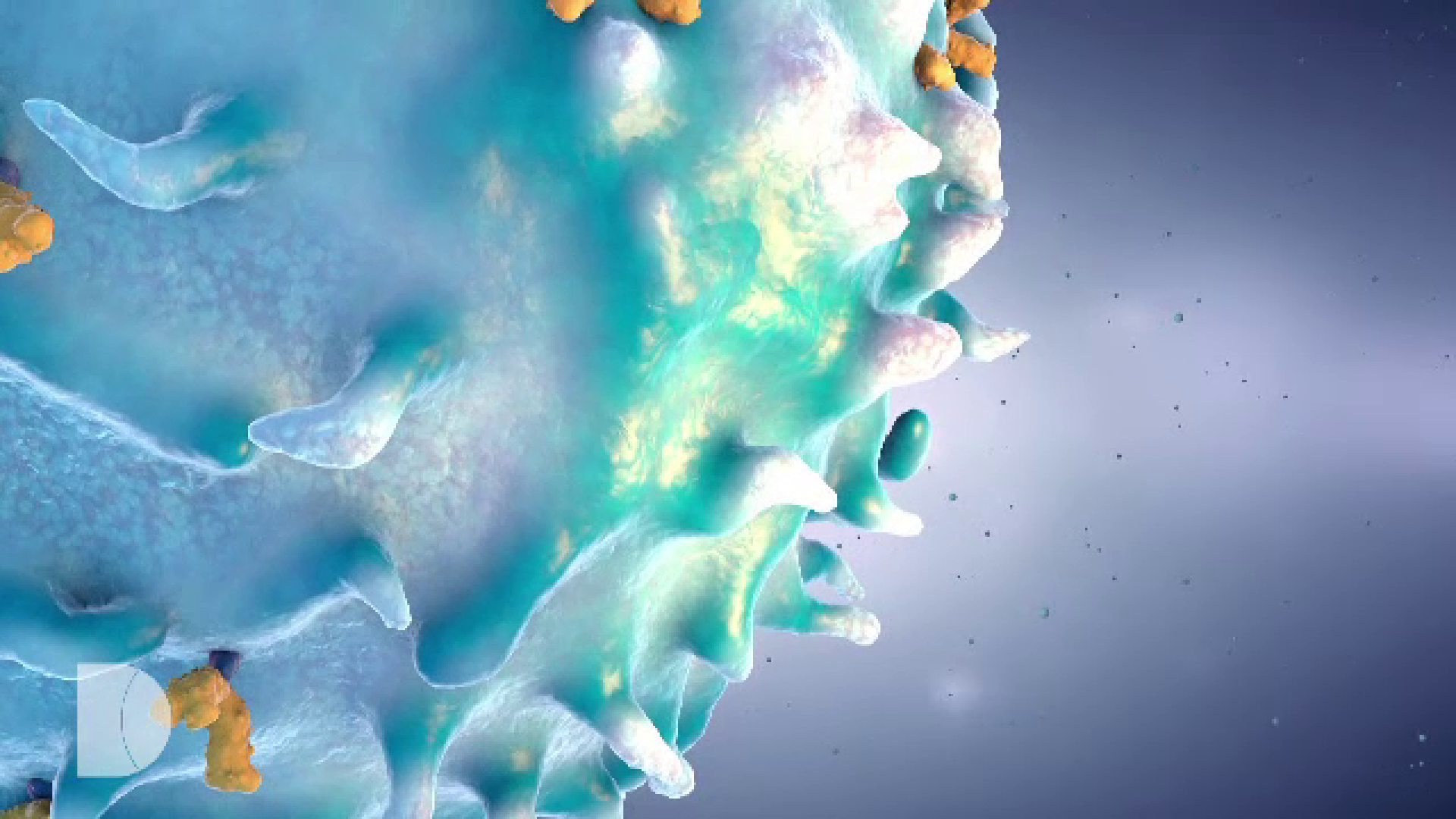 Doctor de bine | Ce sunt limfocitele T și care este misiunea lor ...