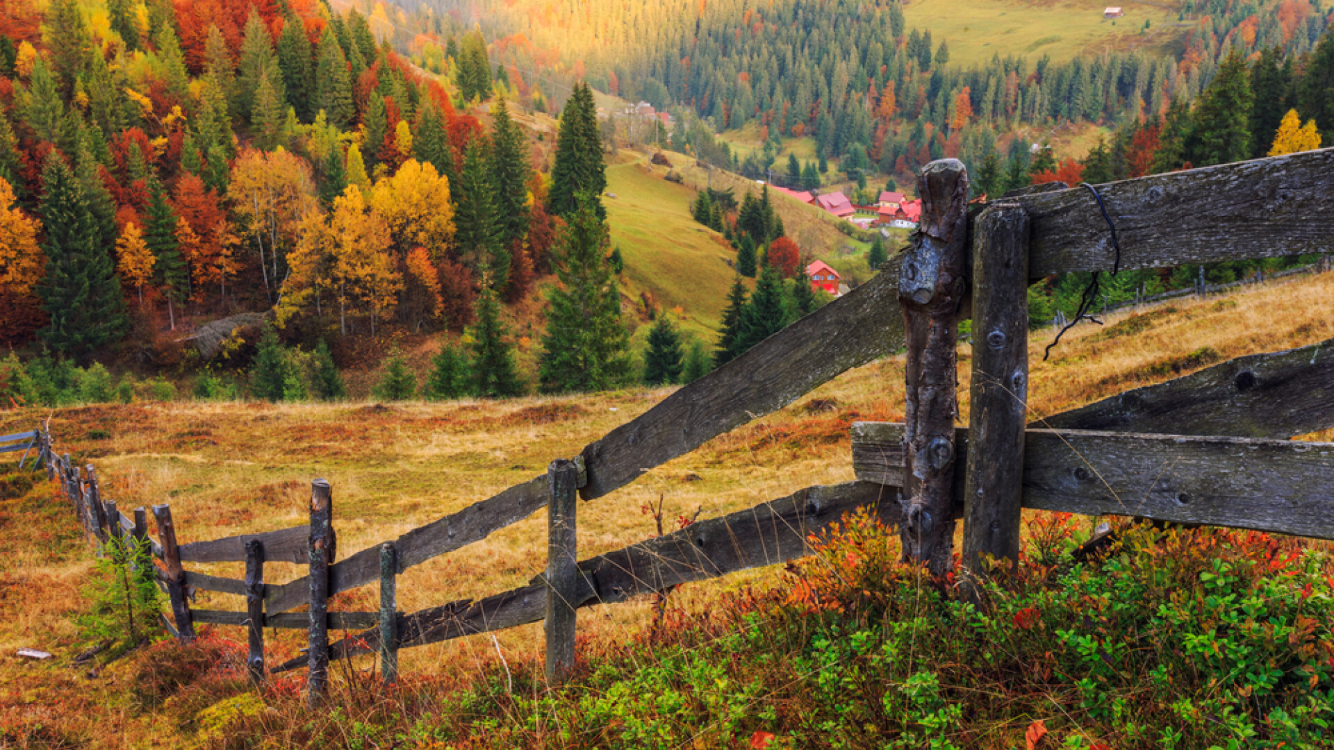 Ce este ecoturismul, care sunt eco destinațiile din România și de ce ...