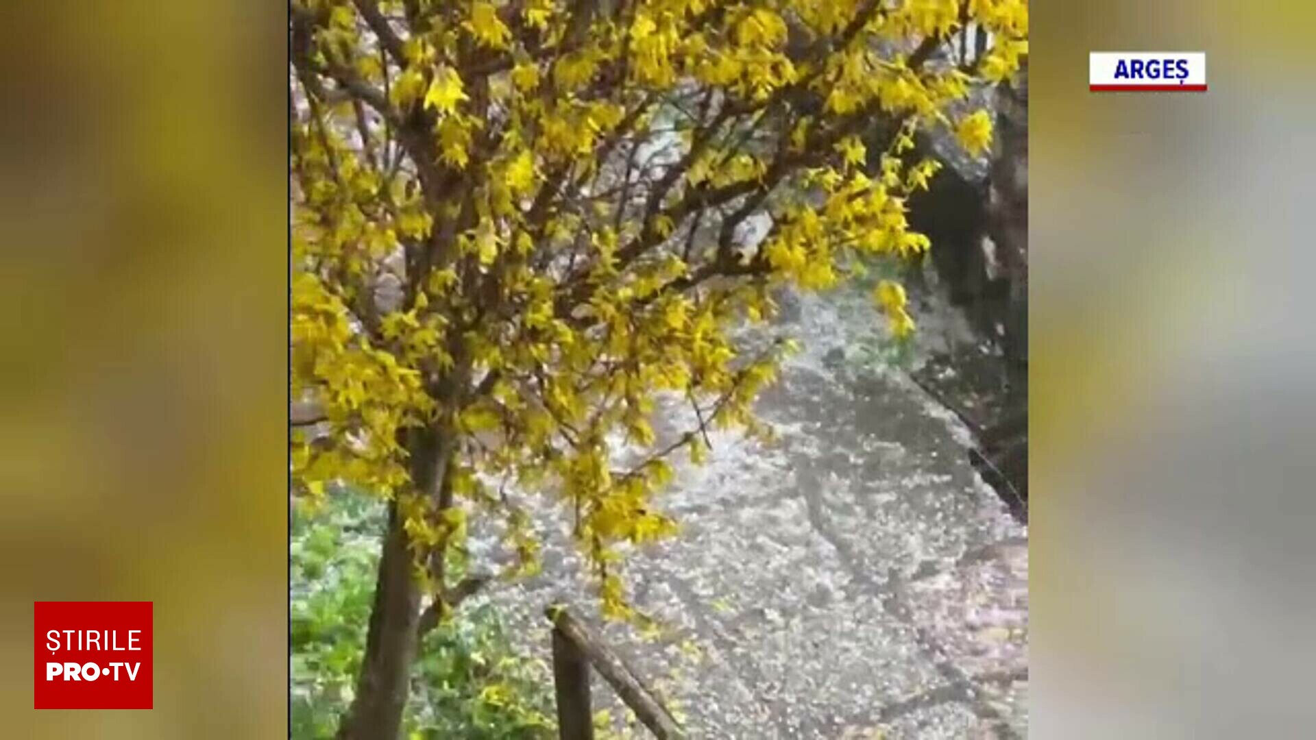 Furtuni puternice au lovit România. Grindina cât oul de prepeliță a ...