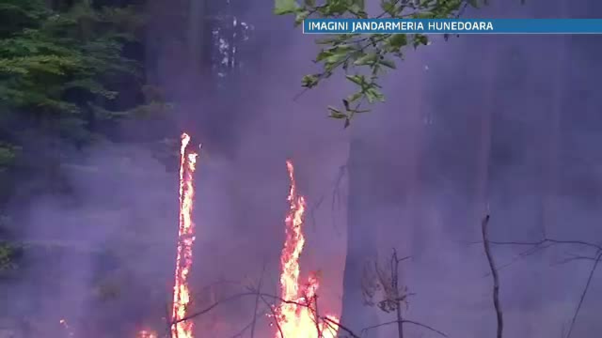 Un incendiu puternic, in apropiere de Rezervatia Naturala din Retezat ...