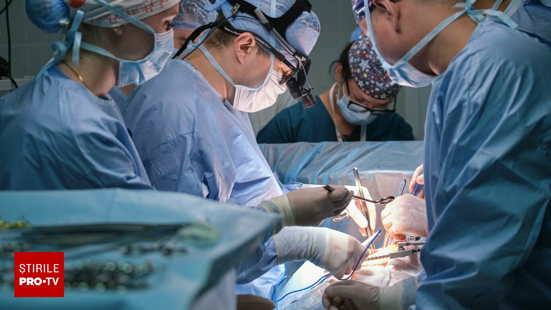 Oamenii de știință au reușit să transplanteze un plămân de porc la om ...