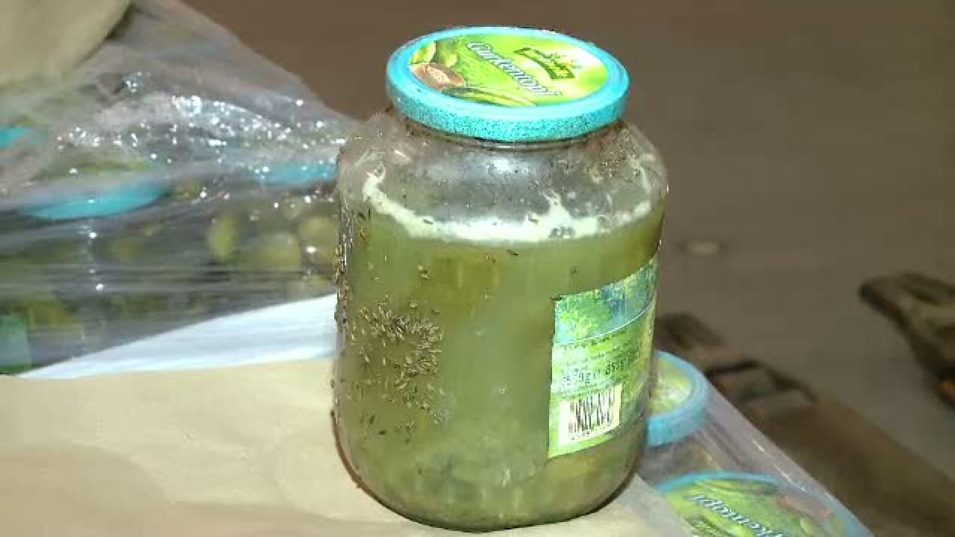 Poftiti la fasole verde cu mucegai si castraveti in putrefactie, made ...