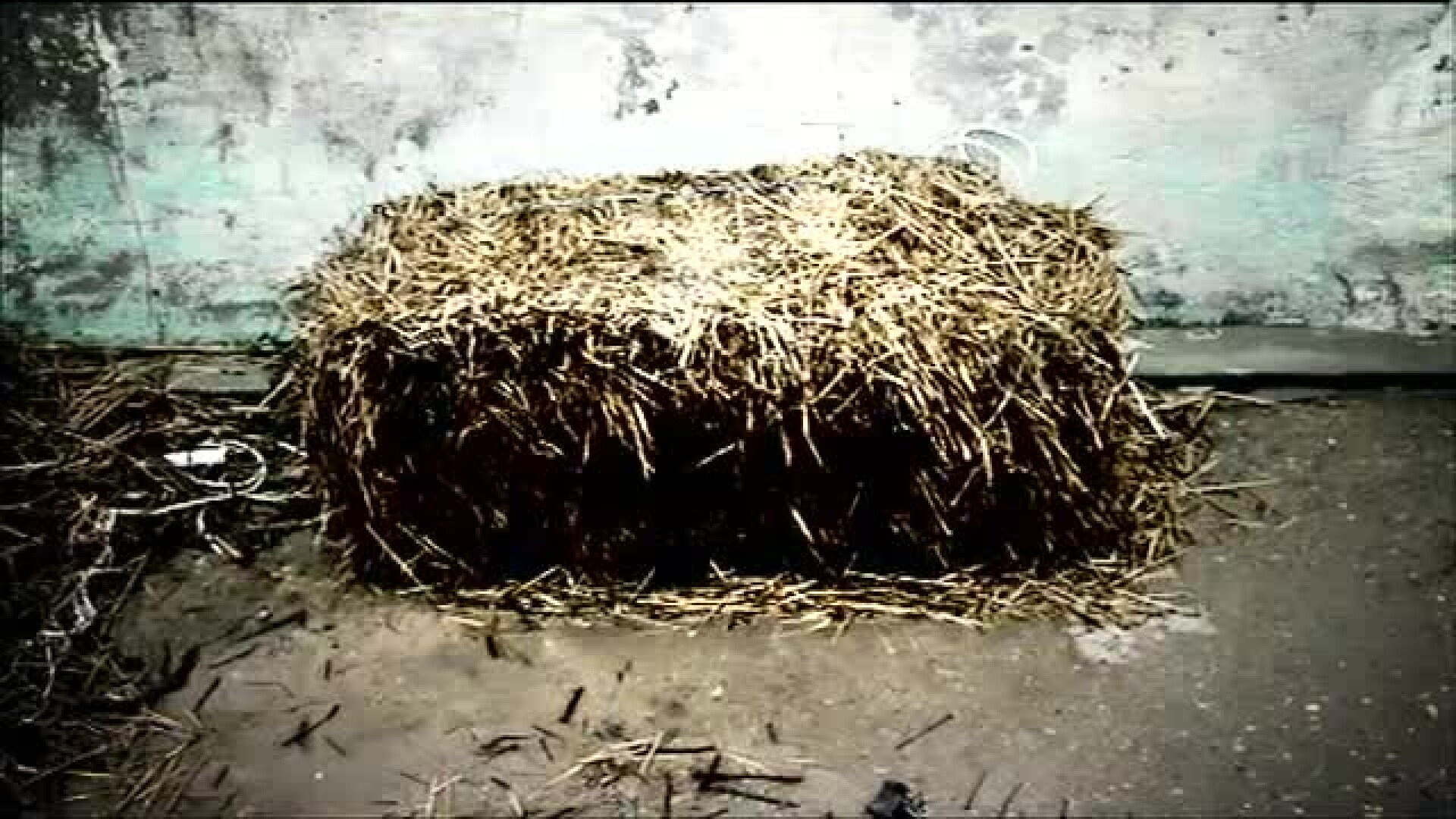 Alerta in Constanta dupa ce resturi umane au fost gasite intr-un balot ...