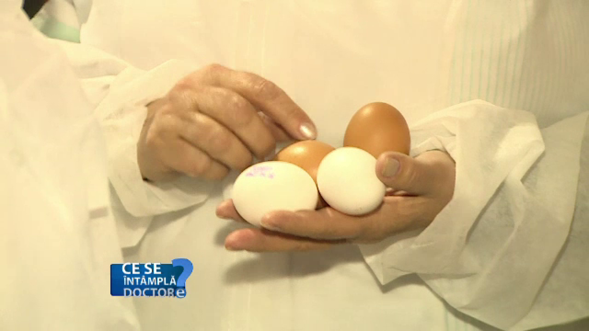 Diferenta dintre oul alb si cel brun. Proprietatile benefice ale ...