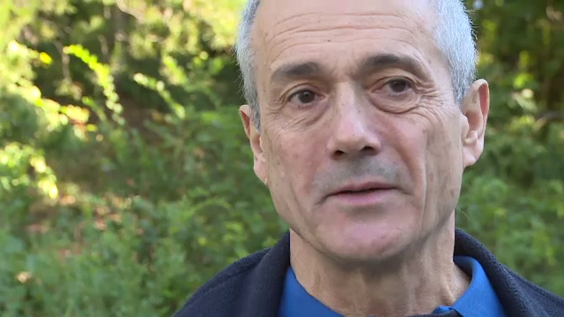 Ce este Teoria Constructală, cu care românul Adrian Bejan a uluit ...