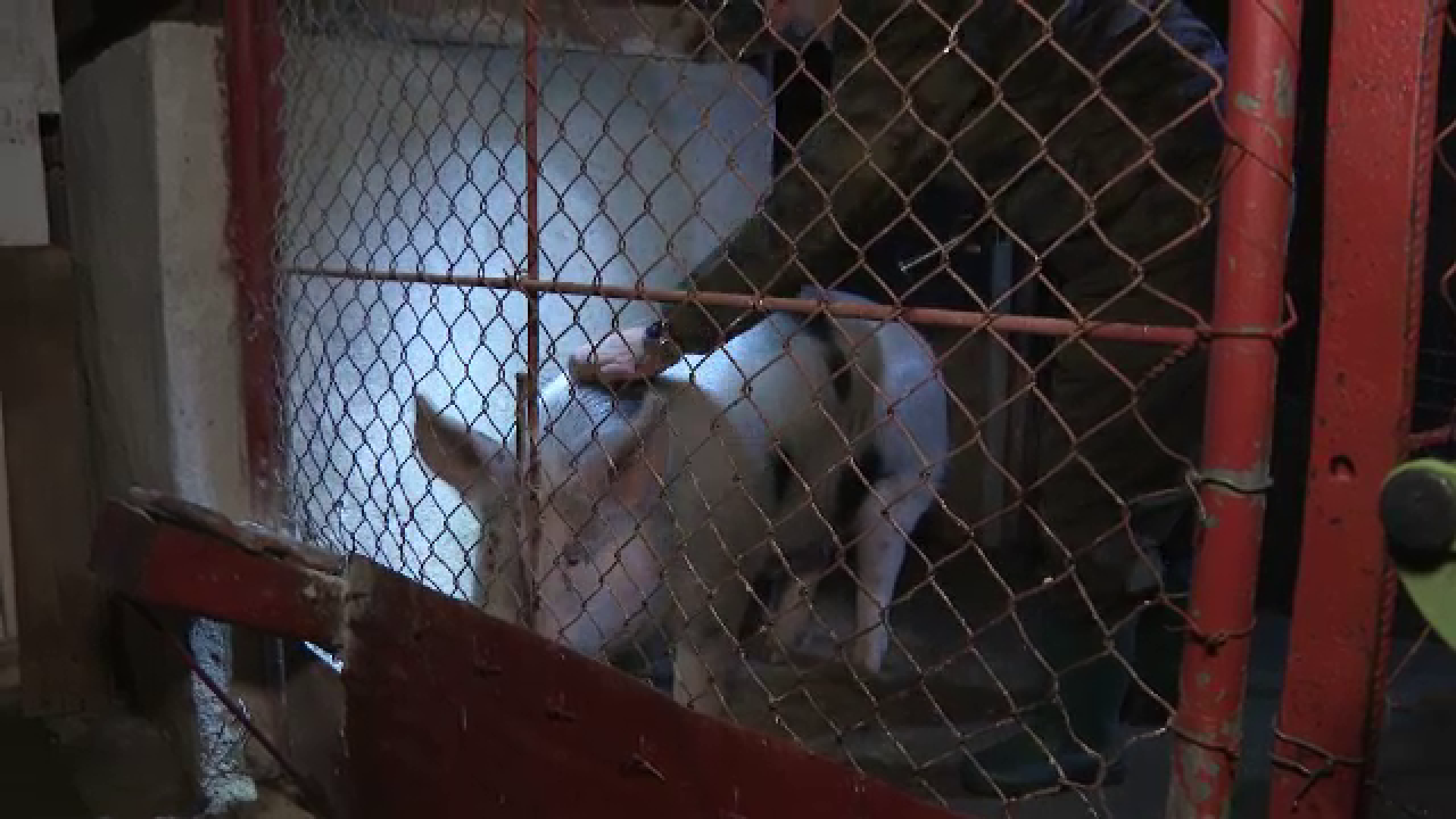 Ajutor nesperat pentru sătenii unei comune din Gorj. O echipă ...