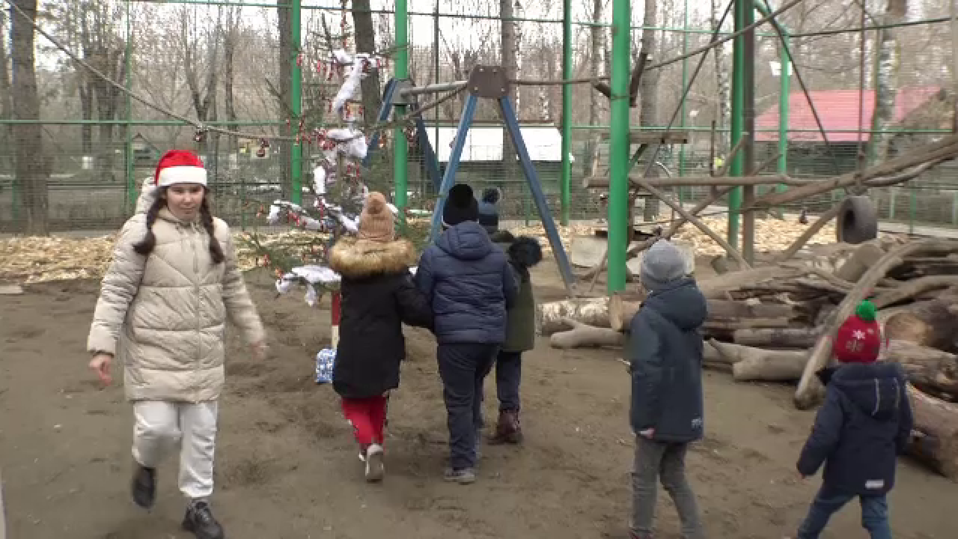 Crăciunul, sărbătorit la grădina zoologică din Ploiești. Ce cadouri au ...