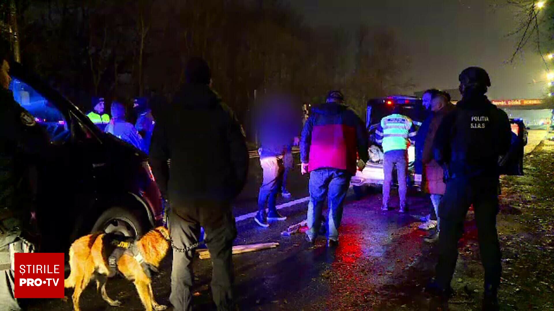 Indivizi care veneau ”întâmplător” din țară, prinși în Ilfov cu ...