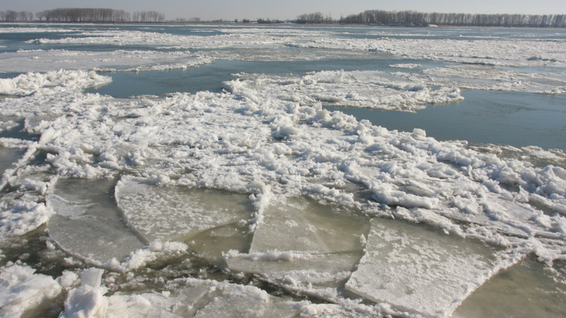 In satele din Delta se ajunge doar cu elicopterul. Camelia Dontu ...